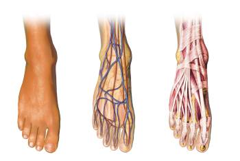 Schmerzen im Fußballen