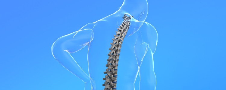 Bechterew`Sche Erkrankung : Morbus Bechterew: Symptome, Diagnostik und ...