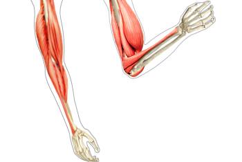 Krankengymnastik bei einem Tennisarm